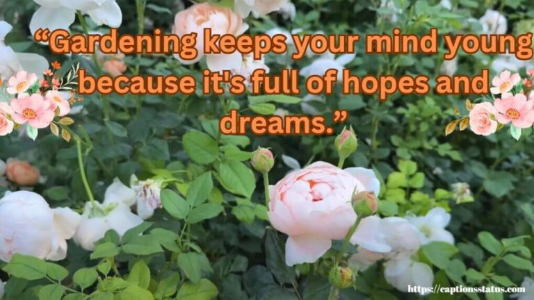 Best 100 Garden Captions for Plant Lovers to share on Instagram ...