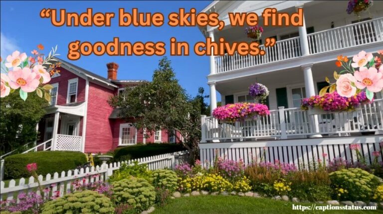 Best 100 Garden Captions for Plant Lovers to share on Instagram ...