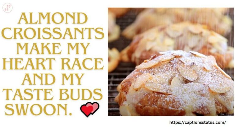 Best Ever Croissant Captions, Quotes, and Puns for Instagram ...