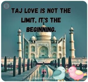 Top Taj Mahal Captions and Quotes for Instagram 2026 - CaptionsStatus
