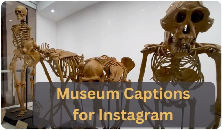 Top Demanding Museum Captions for Instagram And Quotes - CaptionsStatus